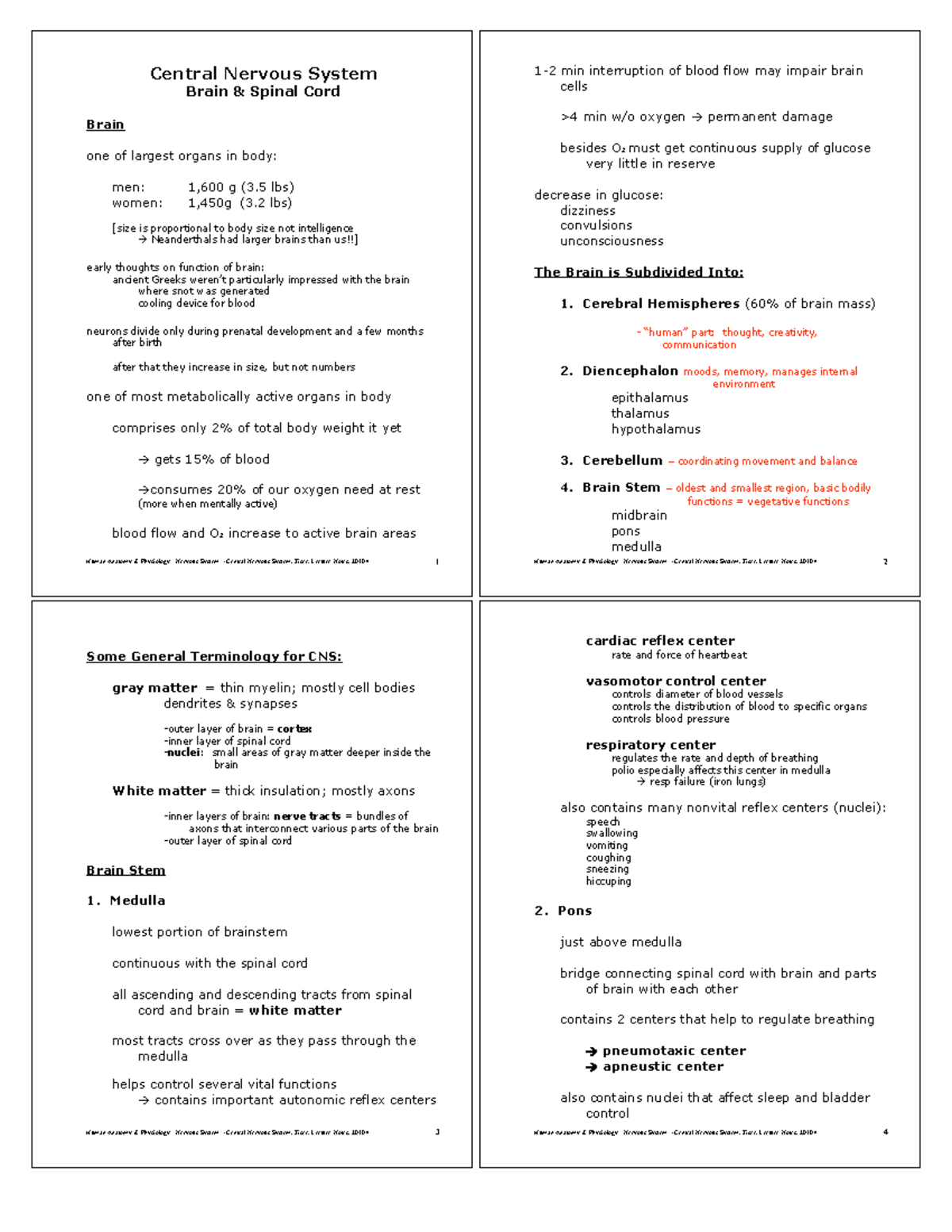 Human Anatomy & Physiology: CNS Lecture Notes (Ziser, 2010) - Studocu