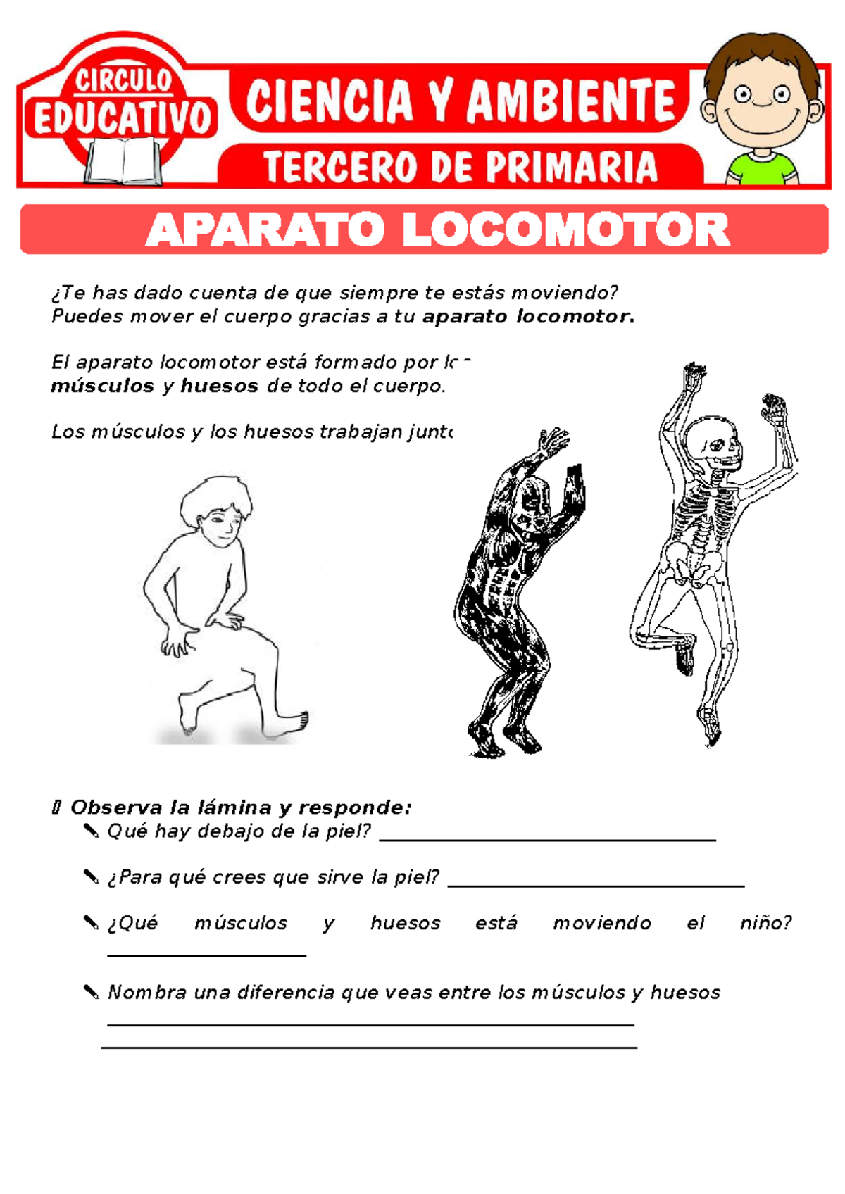 Aparato Locomotor: Guía para Tercero de Primaria - Studocu