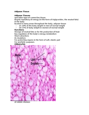 Ch 47 - Types OF Sensory Receptors AND THE Stimuli THEY Detect DQ1 ...