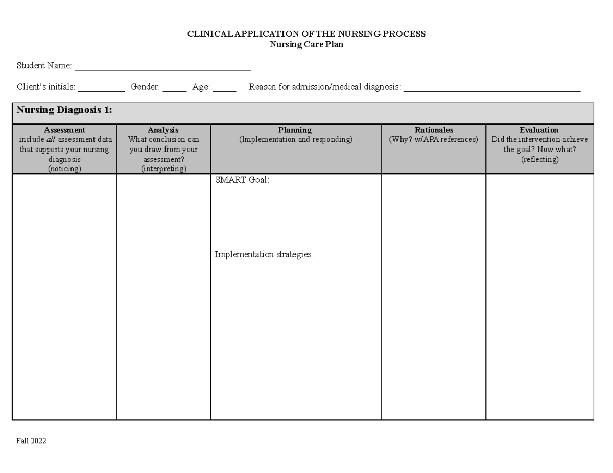 Care Plan Template with Rubric - CLINICAL APPLICATION OF THE NURSING ...