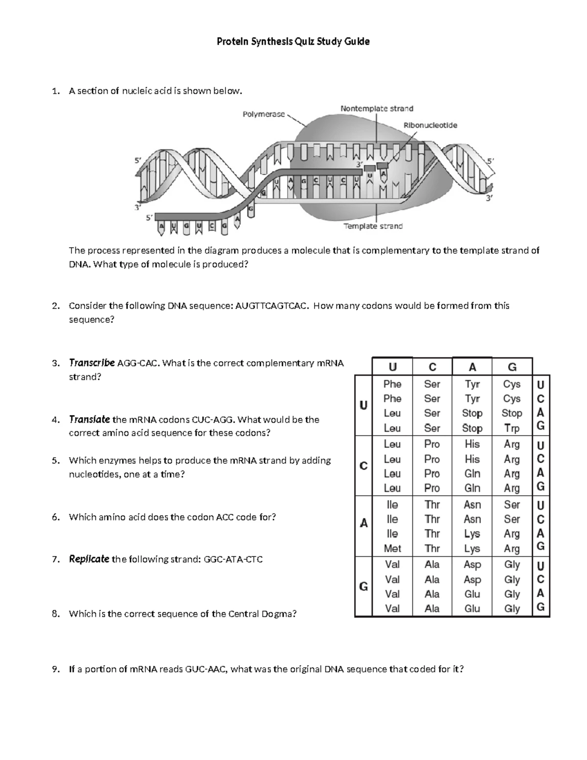 Practice Test Protein Synthesis - DNA, RNA, & Protein Synthesis ...