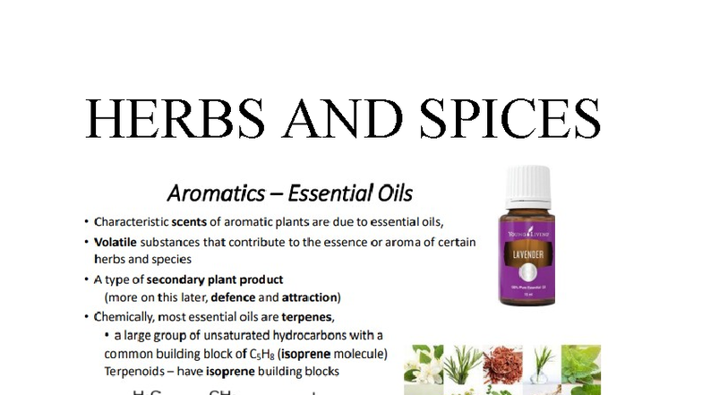 HERB 101: Notes on Aromatics, Essential Oils, and Alliums - Studocu