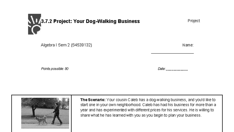 Algebra I Project: Business Planning & Competition Analysis (S4539132 ...