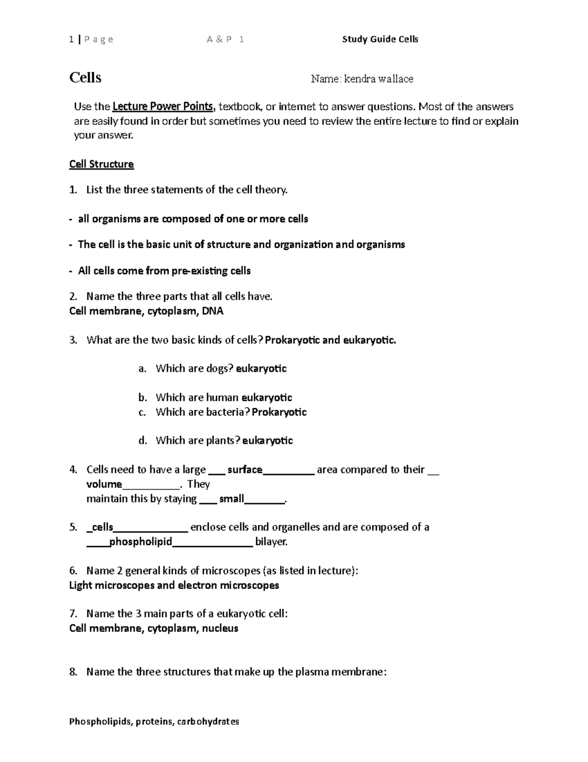 A&P 1 Study Guide: Cell Structure & Functions Overview - Studocu