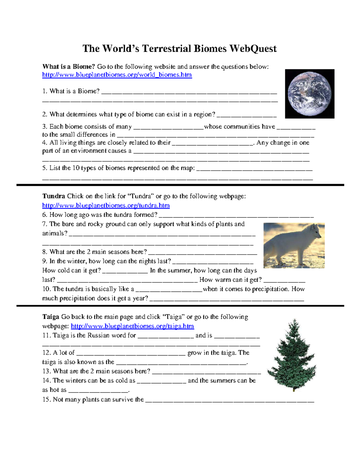 Biome WebQuest Answer Key: Understanding Terrestrial Biomes - Studocu