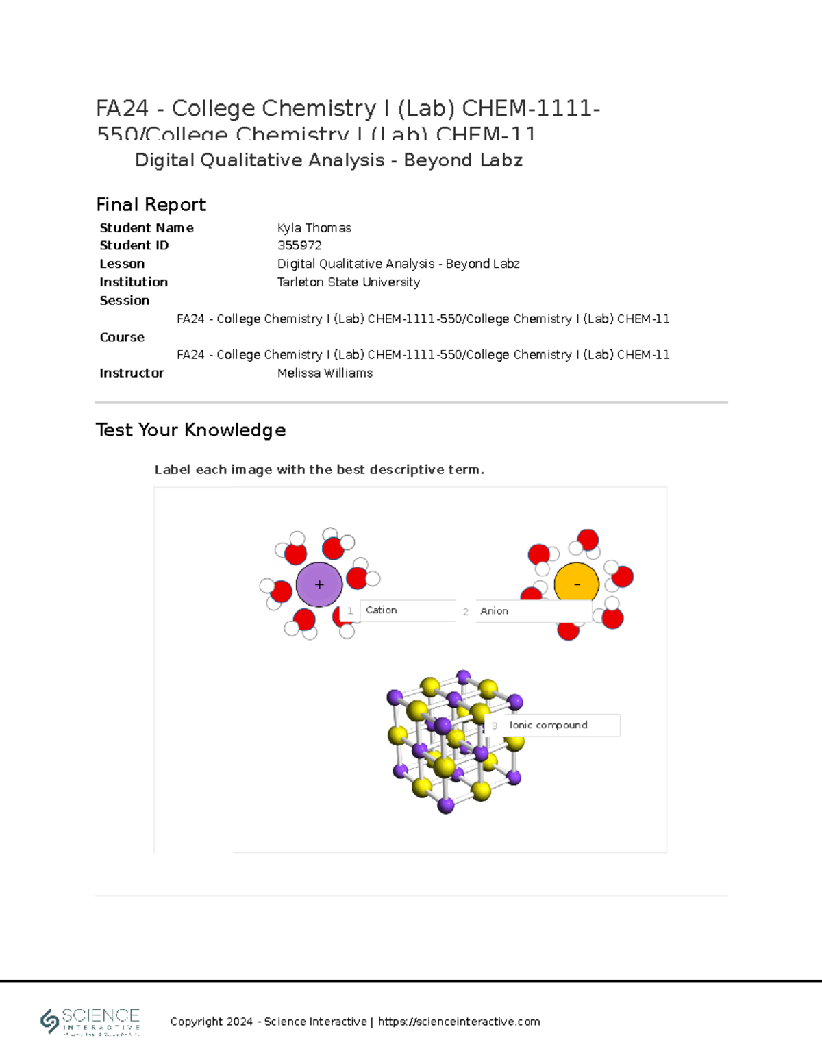 FA24 - College Chemistry I Lab CHEM 1111 Digital Qualitative Analysis Report - Studocu