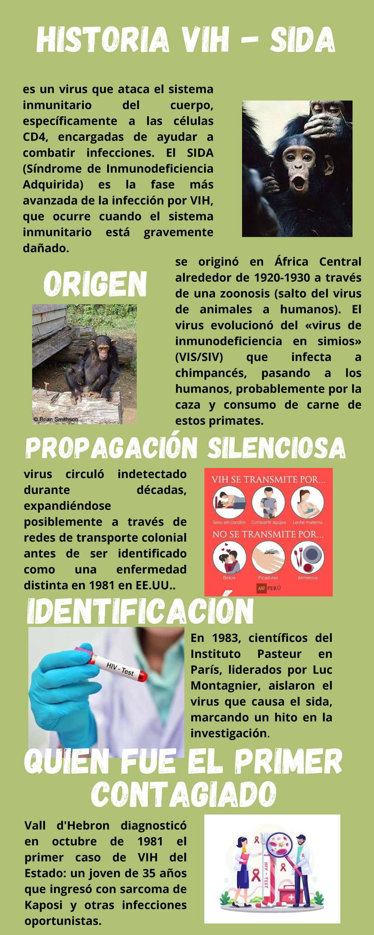 Infografía sobre VIH-SIDA: Origen y Evolución 20260314 - Studocu