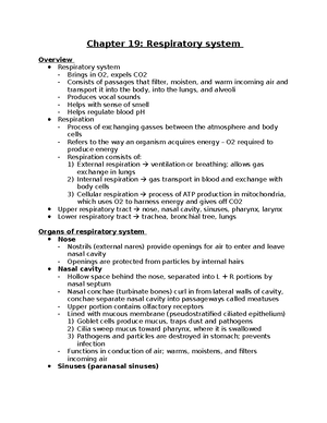 [Solved] Unit 2 Medical Terminology Respiratory System Within the ...
