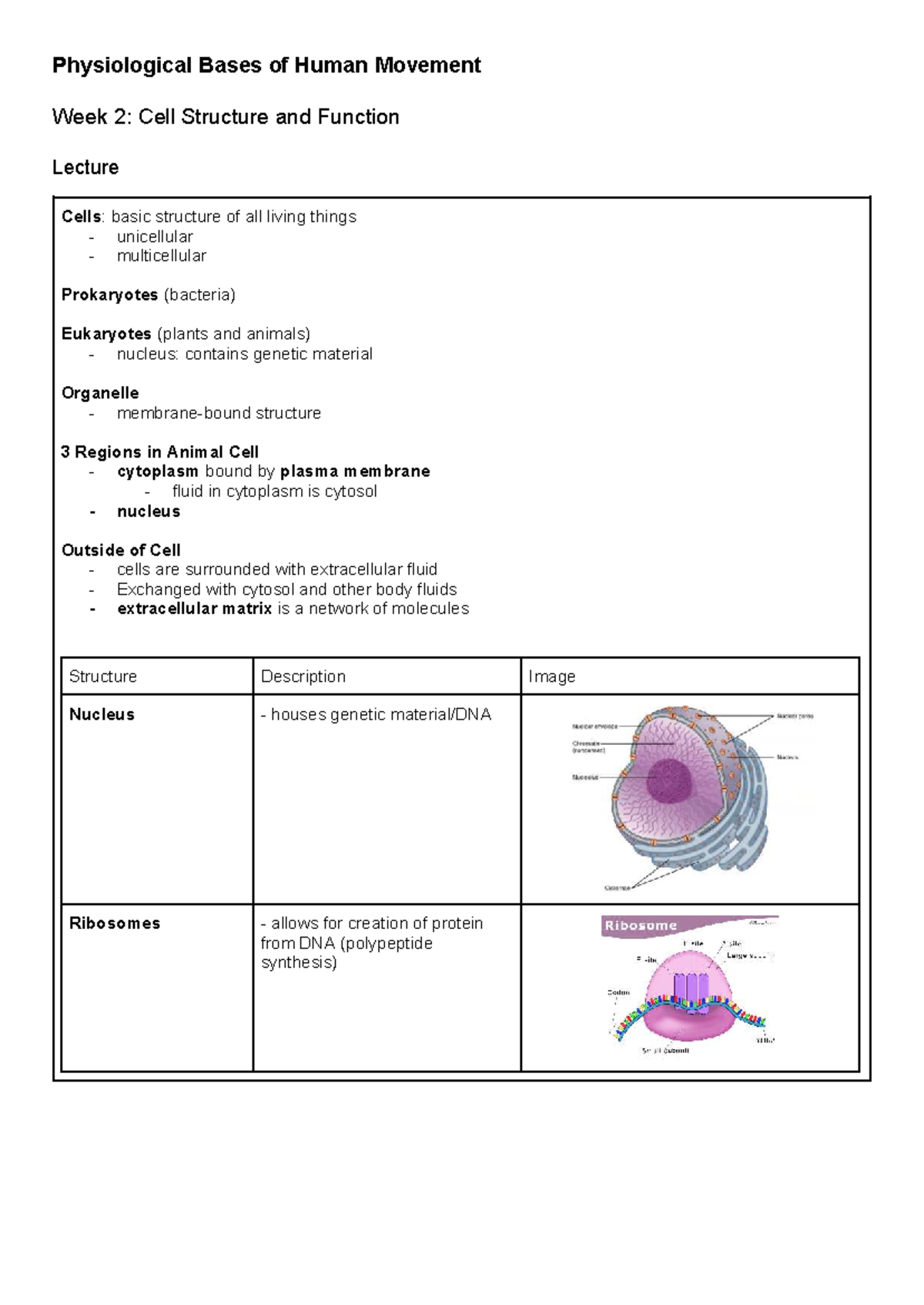 PBHM - Week 2 Lecture Notes: Cell Structure & Function - Studocu