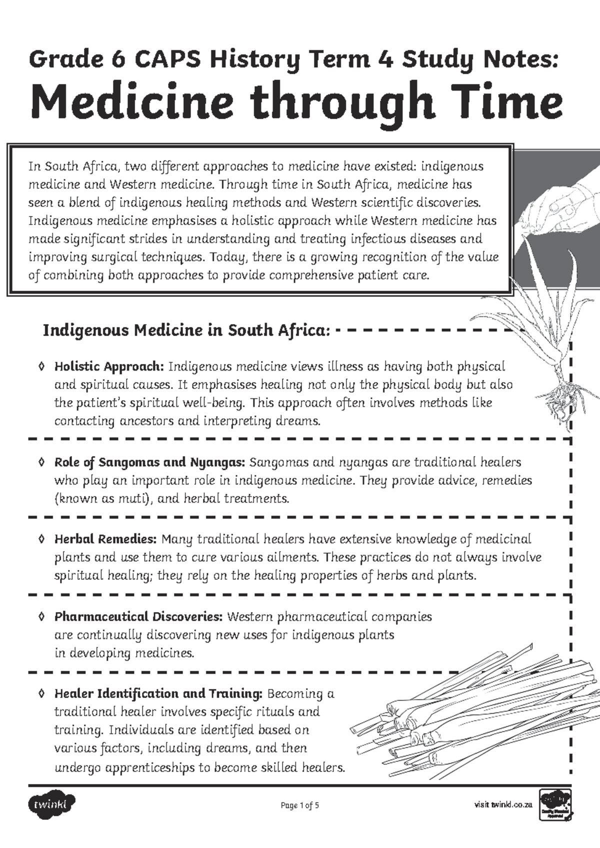 Grade 6 CAPS History: Medicine Through Time Study Notes-BW - Studocu