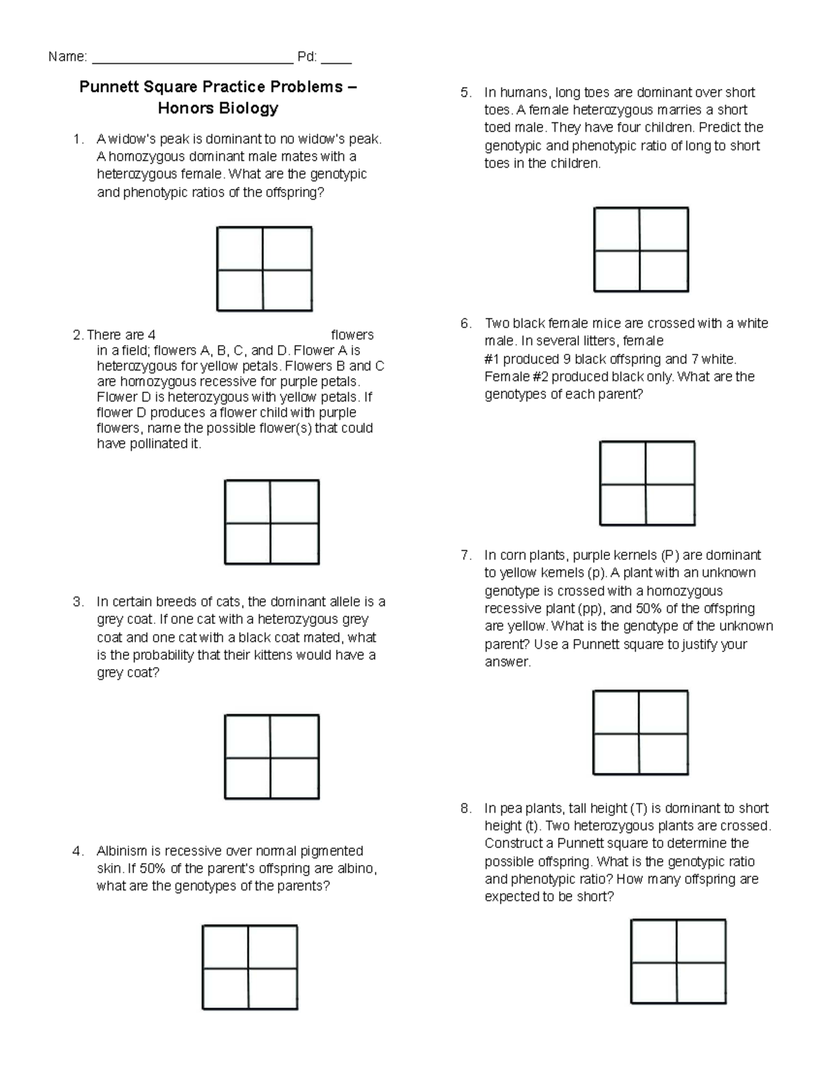 Punnett Square Practice Problems - Honors Biology 1 - Studocu