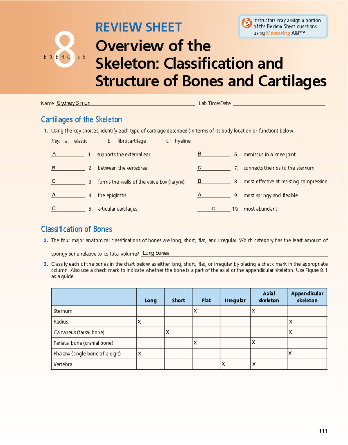Lab Exercise 8: Overview of Skeleton, Bones & Cartilages - Studocu