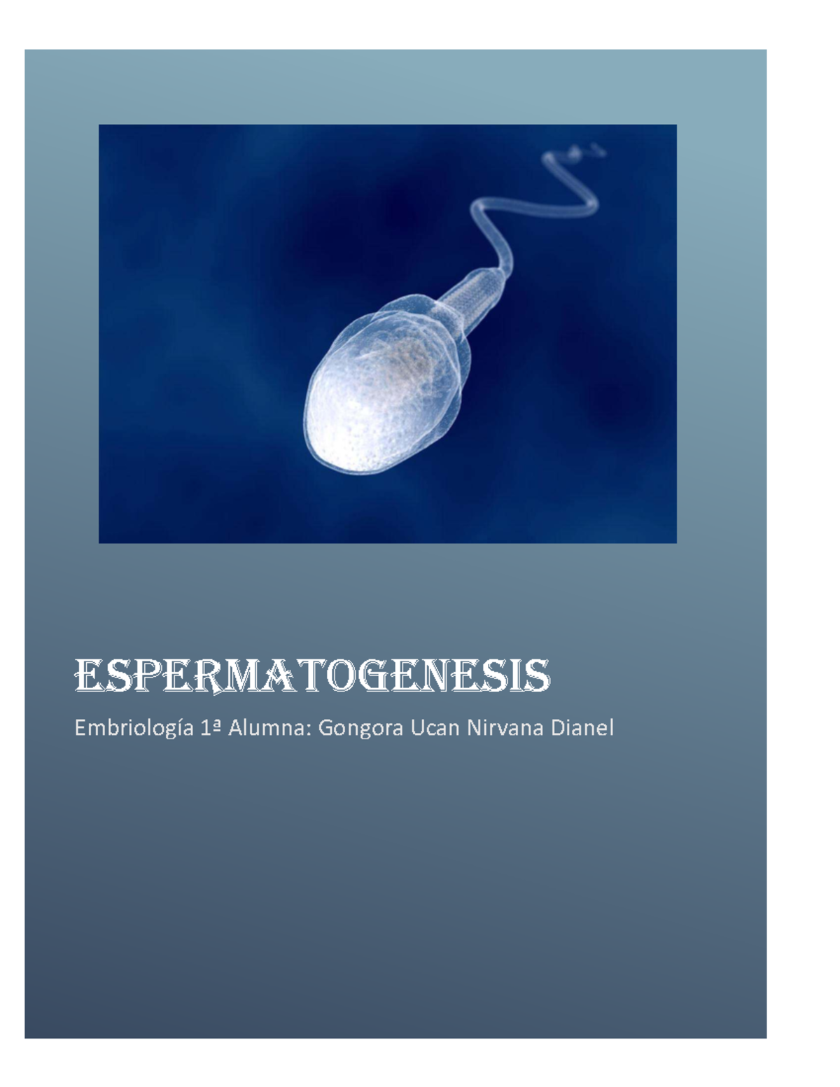 ESPERMATOGENESIS: Proceso y Importancia en la Reproducción - Studocu