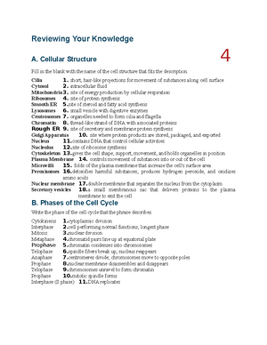 Exercise 17 - Laboratory Manual - EXERCISE 17 Gross Anatomy of the ...