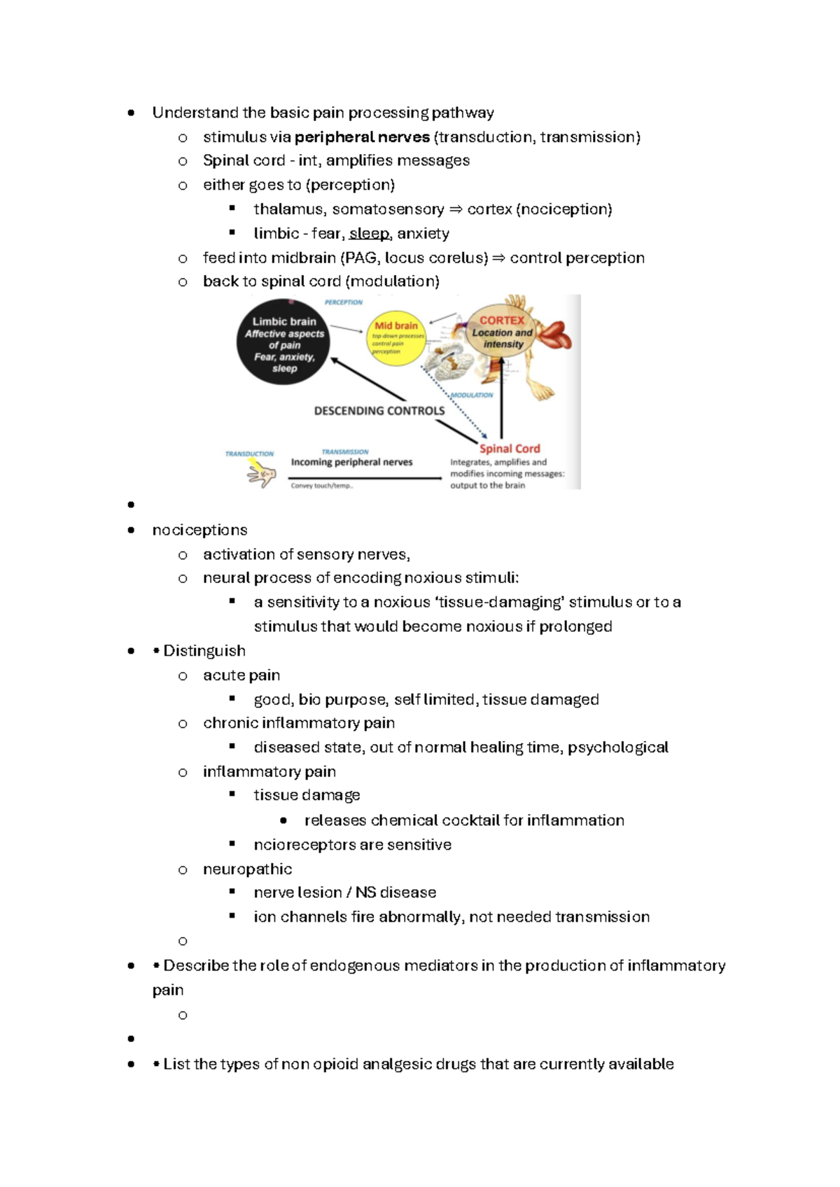 Pain Processing Pathways: Understanding Transduction, Modulation, and ...