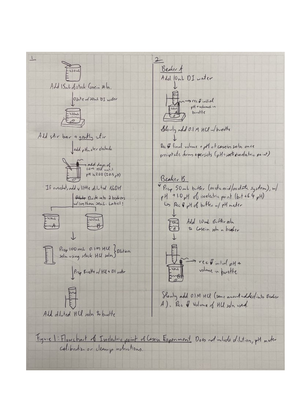 CHEM 1AA3 Exp 8 - Flowchart - Trial I Trial 2 Trial 3 Trial 4 100mL ...