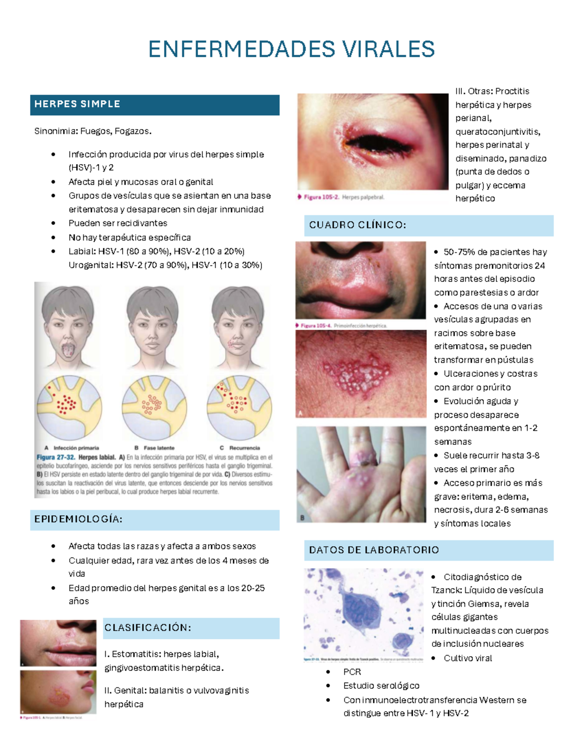 Enfermedades virales de la piel - HERPES SIMPLE Sinonimia: Fuegos, Fogazos. - Infección ...