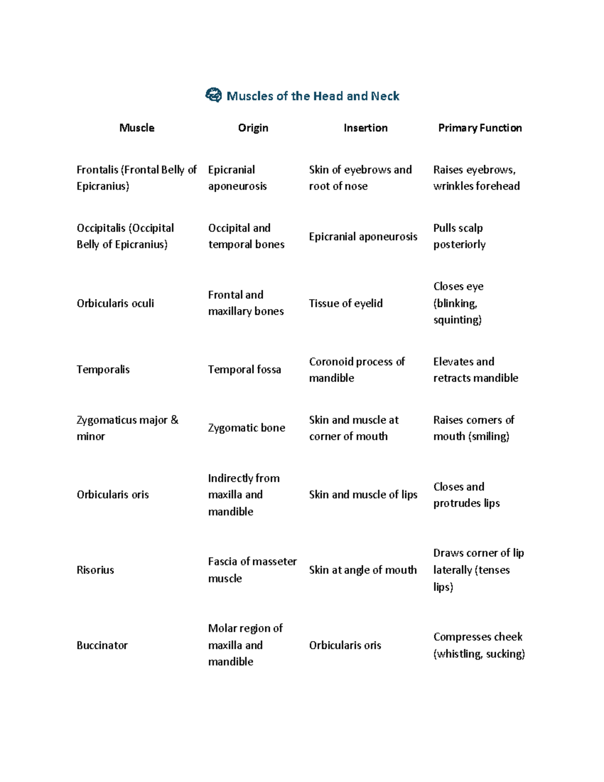 Muscle Anatomy Overview: Head, Neck, Trunk & Limbs Study Guide - Studocu