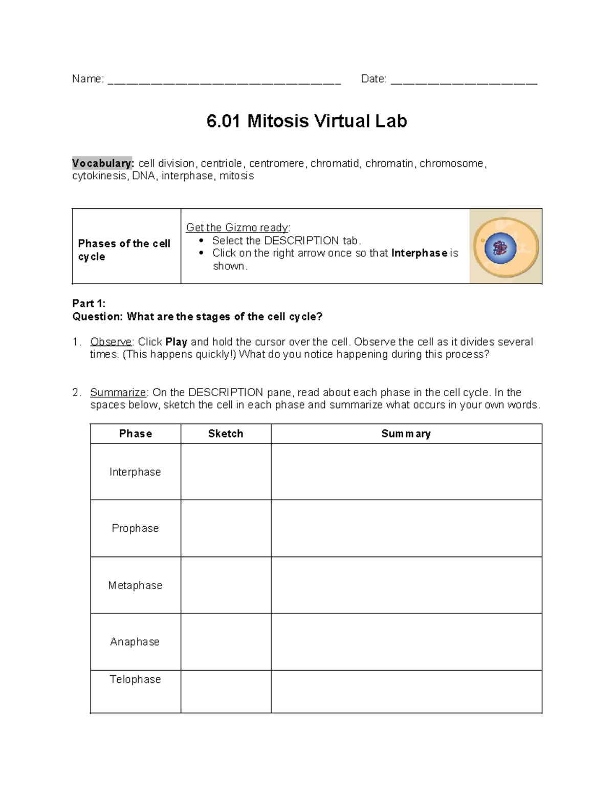 6.01 Mitosis Virtual Lab: Exploring Cell Cycle Phases and Vocabulary ...