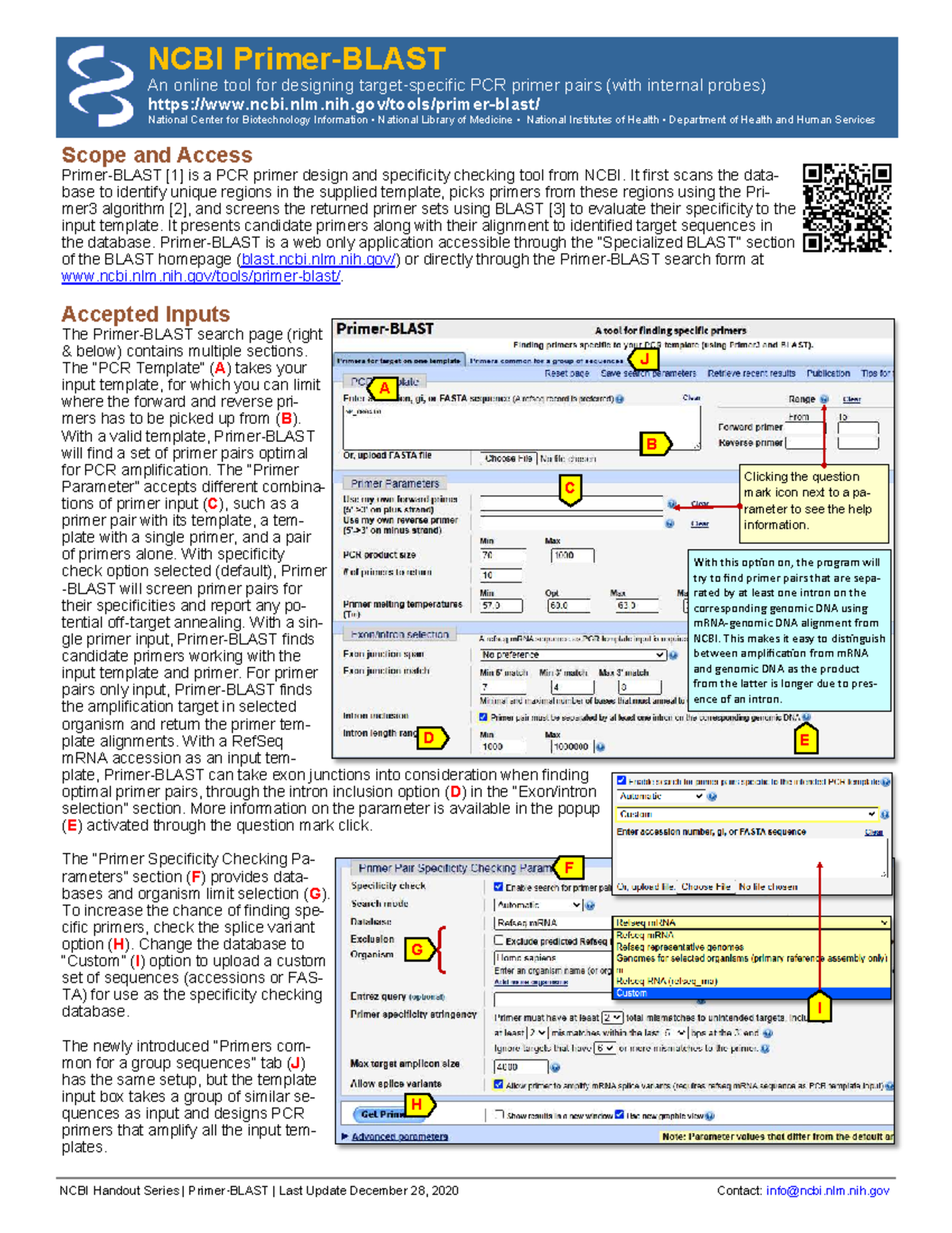 How to Use NCBI PrimerBLAST for PCR Primer Design - Studocu