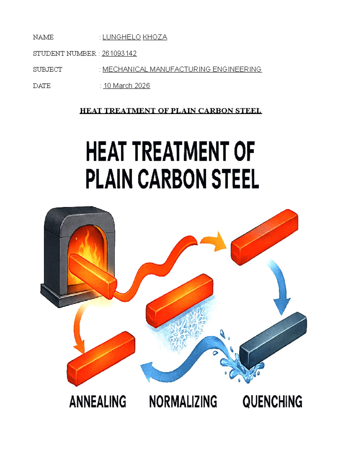 MECH 261093142: Heat Treatment of Plain Carbon Steel Explained - Studocu
