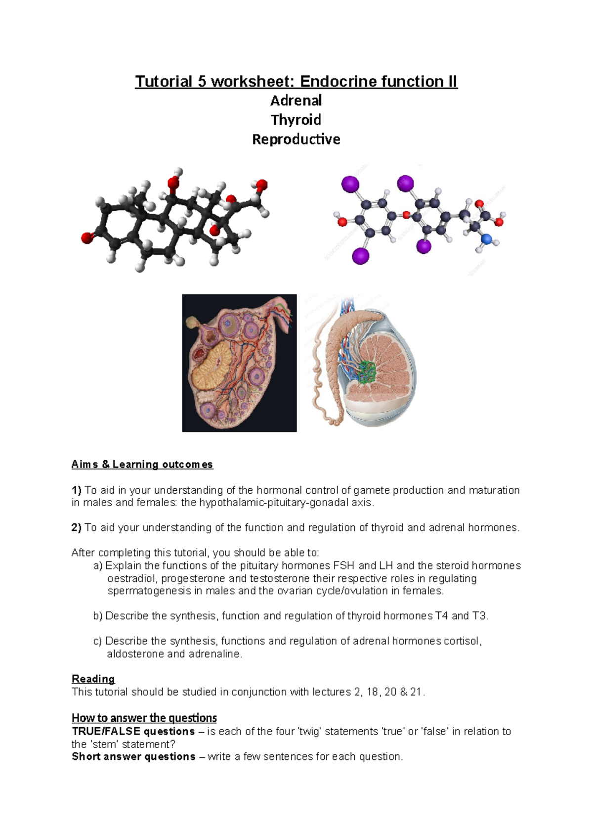 Tutorial 5 Endocrine Function II - Tutorial 5 worksheet: Endocrine ...