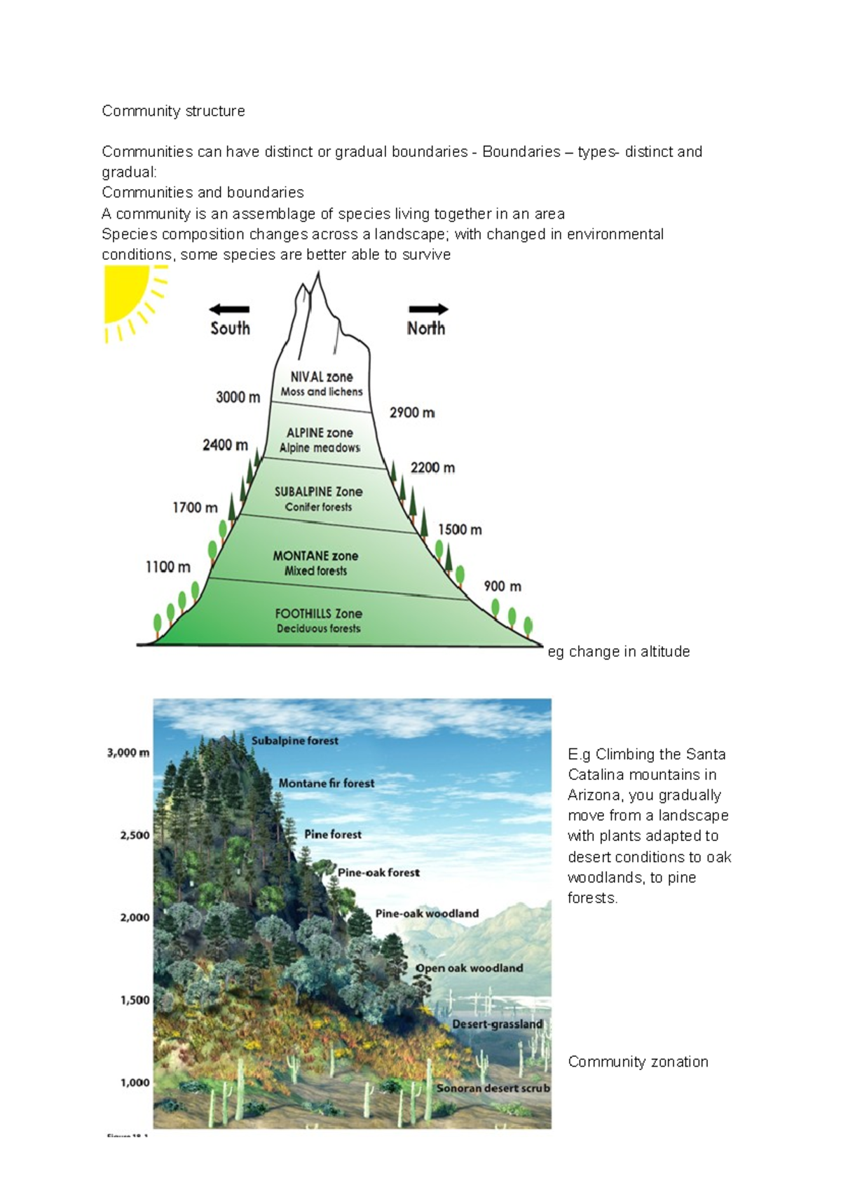 9 community succession and structure - Community structure Communities ...
