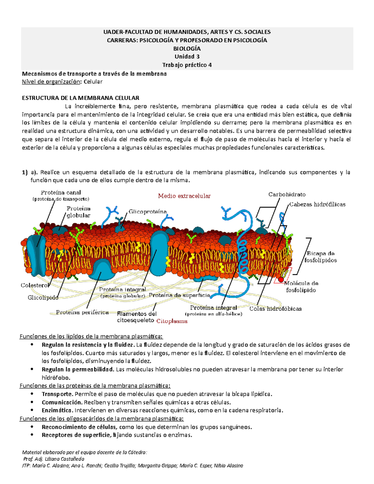 Hojas De Trabajo Sobre La Estructura Celular