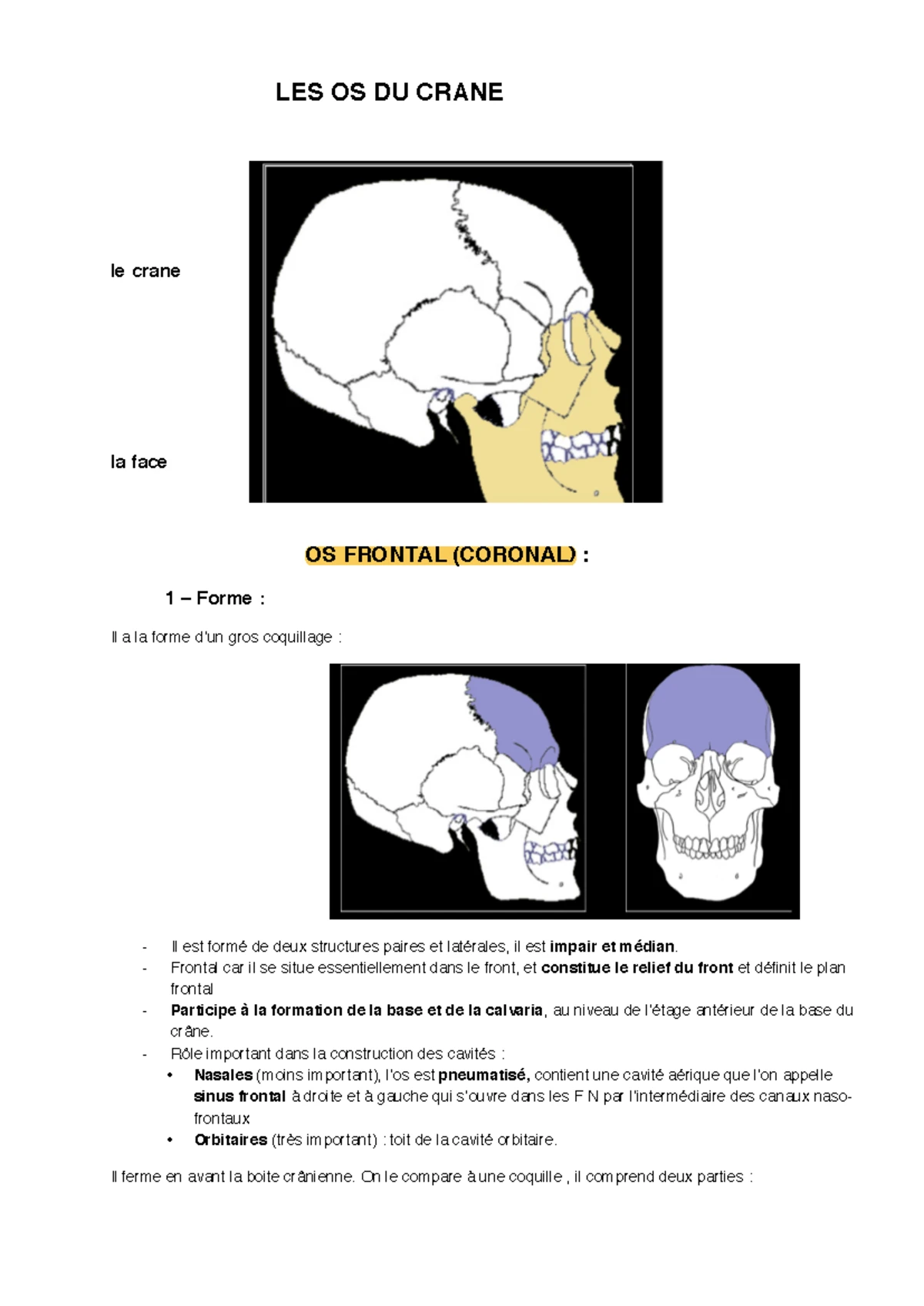 Cours 1-2-3-4 - Ostéologie de l'extrémité céphalique - !!! LES OS DU ...