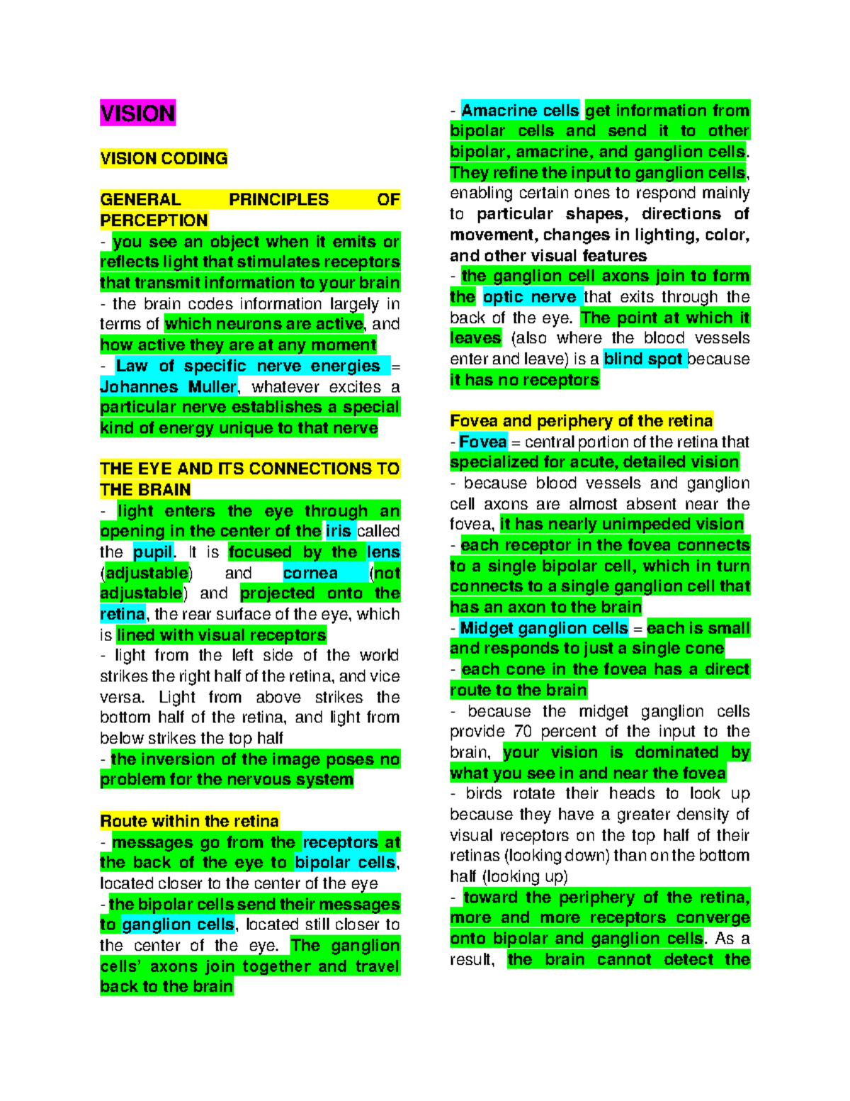 Physio- Midterm- Reviewer - VISION VISION CODING GENERAL PRINCIPLES OF ...
