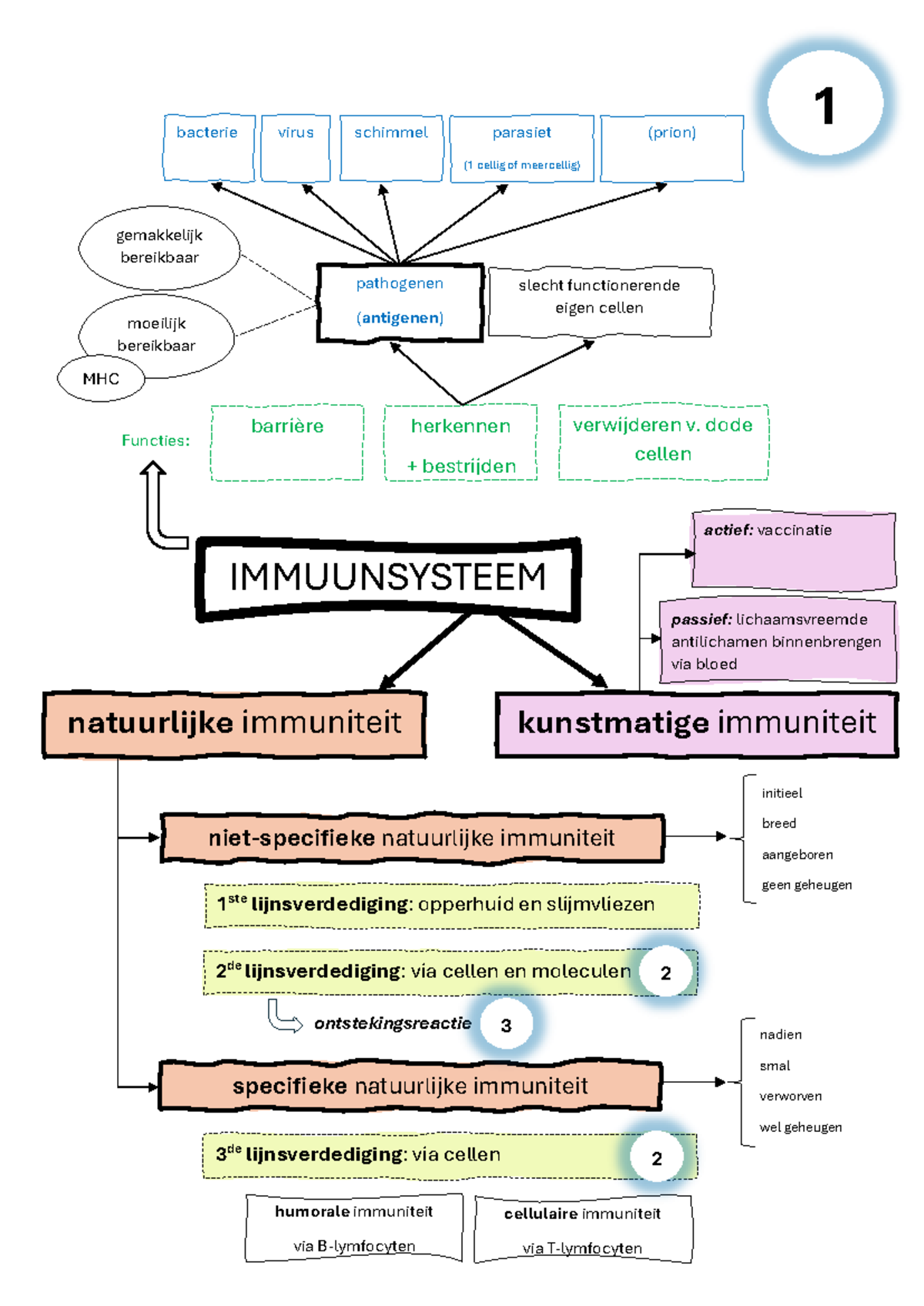 Biologie 6 - Overzicht van het Immuunsysteem en Immuniteit - Studocu