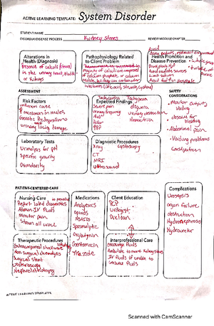 Active Learning Template - Diagnostics - Amniocentesis - ACTIVE ...