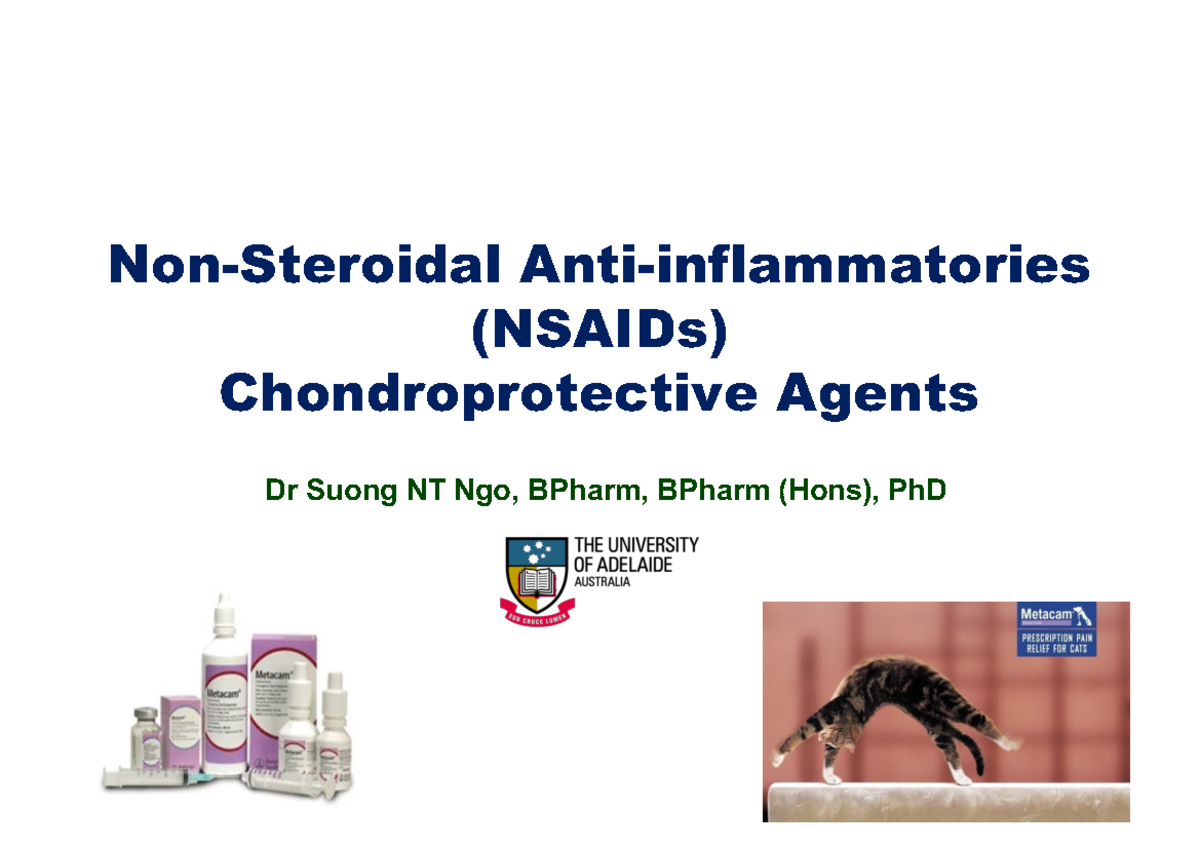 Non-Steroidal Anti-inflammatory Medicines (NSAIDs) in Veterinary Use ...