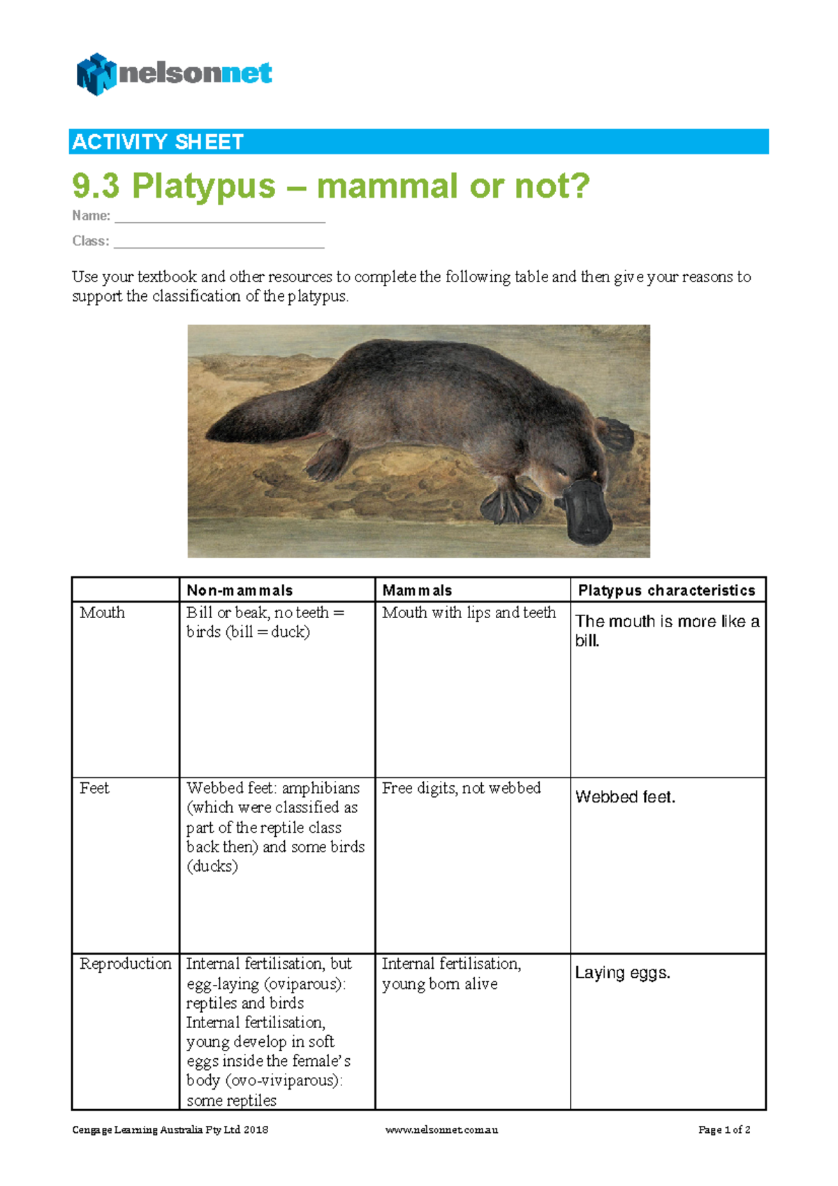 Platypus: Classification Insights and Characteristics Analysis - Studocu