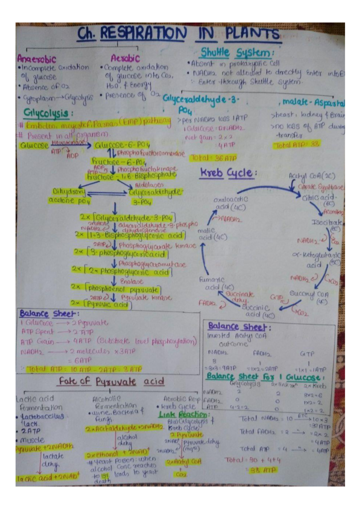 Ch. 14 RESPIRATION IN PLANTS: Aerobic & Anaerobic Processes - Studocu