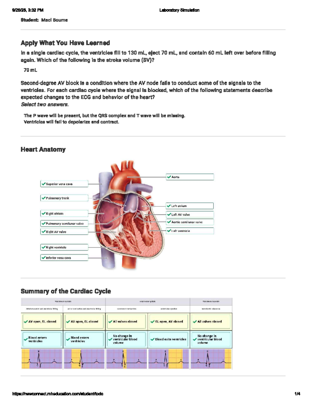 Cardiac Cycle Lab Simulation: Understanding Heart Function and ECG ...