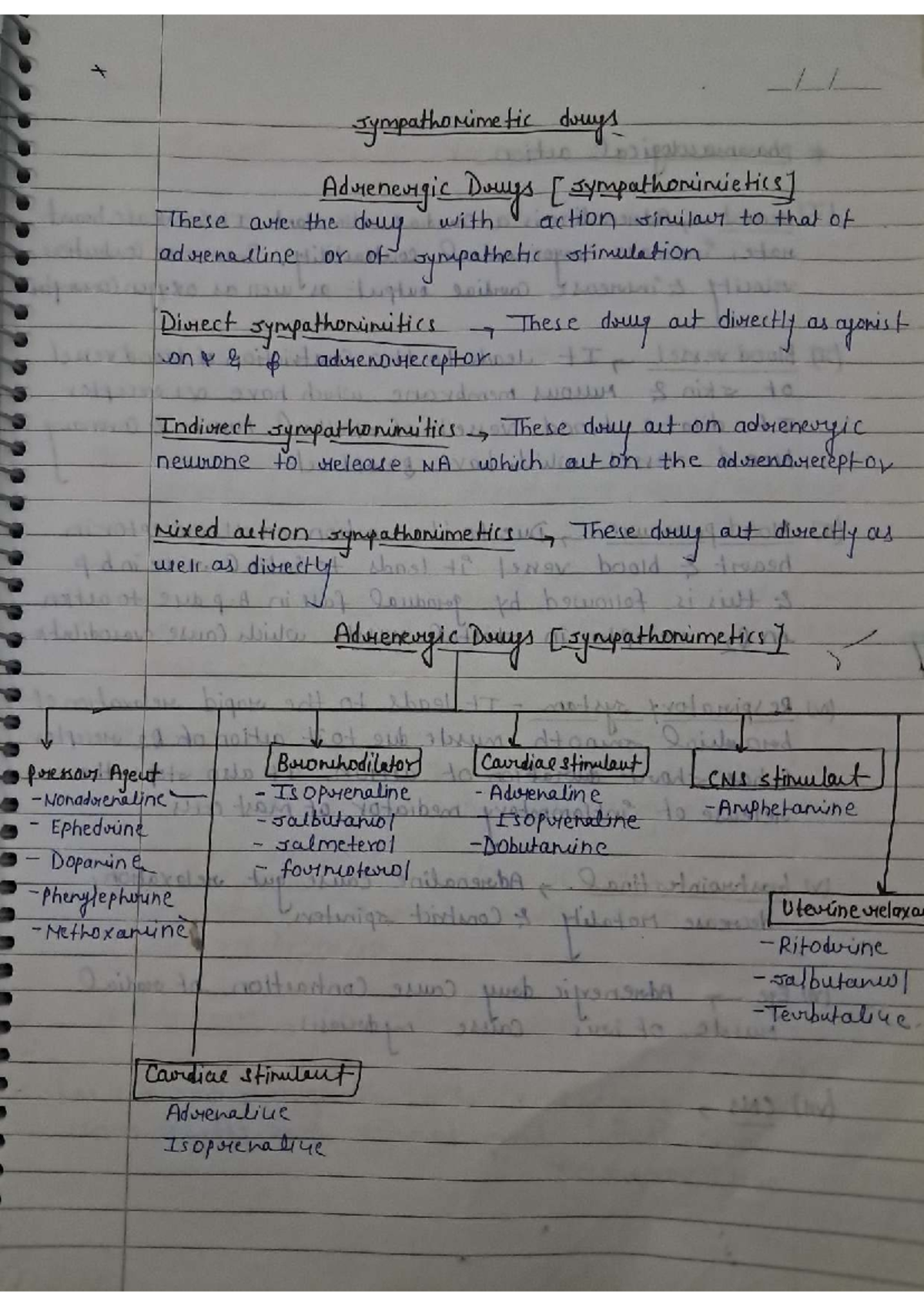 Adrenergic Drugs: Pharmacology Notes for BDS 2nd Year - Studocu