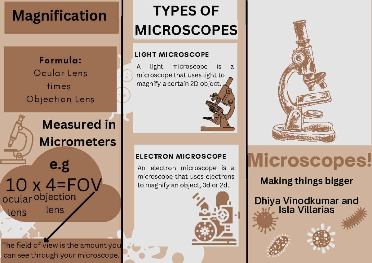 Microscope Basics: Light & Electron Types Explained (BIO101) - Studocu