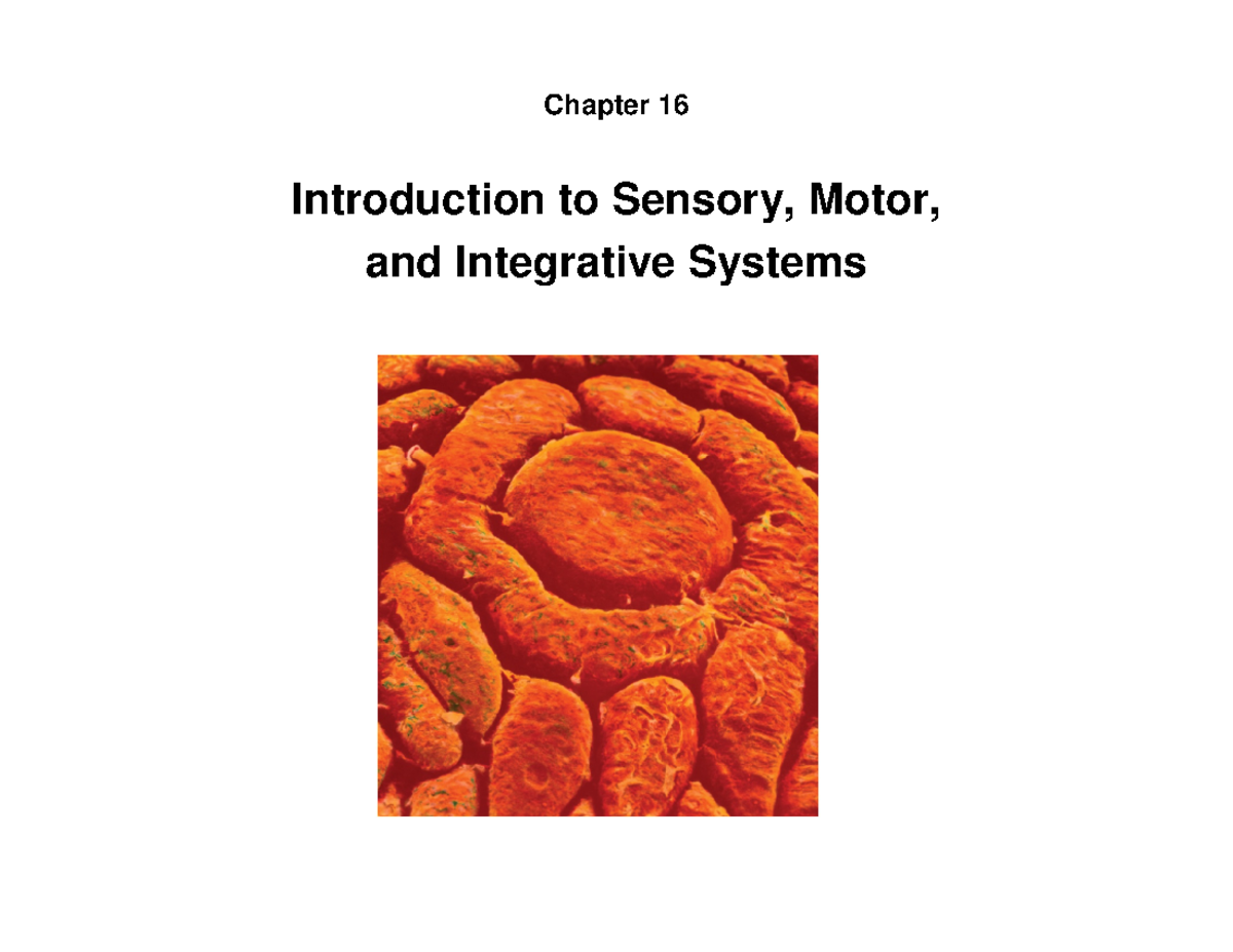 Inbound topic descriptiom - Chapter 16 Introduction to Sensory, Motor ...