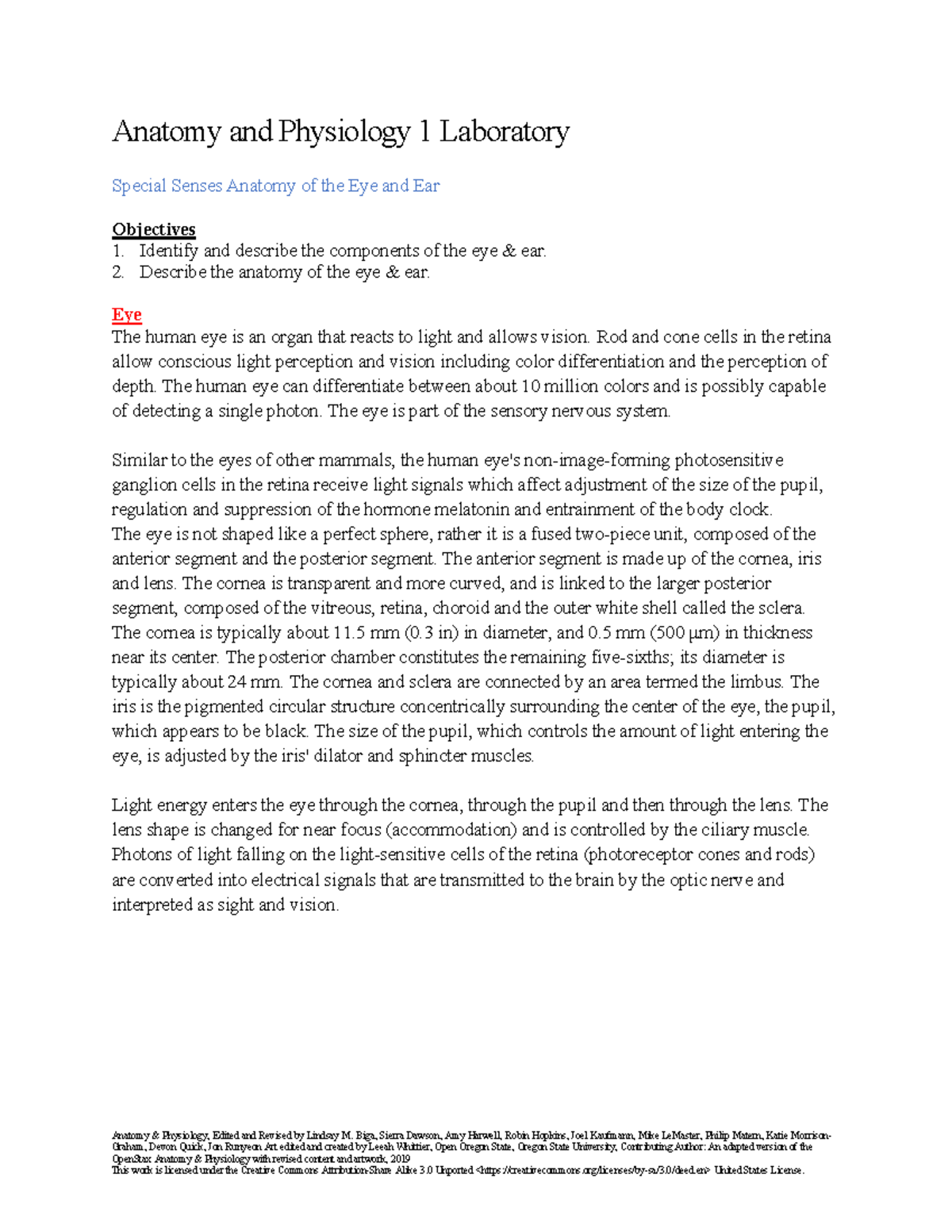 AP I - 13 Lab Notes on Anatomy of the Eye and Ear - Studocu