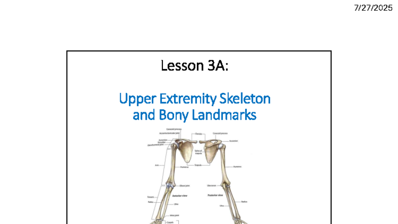Lesson 3A: Upper Extremity Skeleton & Bony Landmarks Overview - Studocu