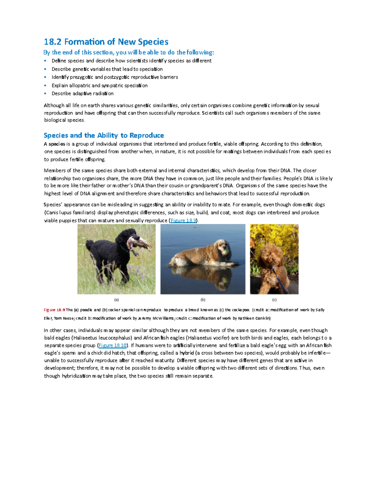 Formation of New Species: Mechanisms and Examples in Speciation - 18 ...