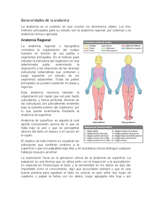 Protocolo- Evaluación- Fuerza- Muscular escala-Medical-Research-Council ...