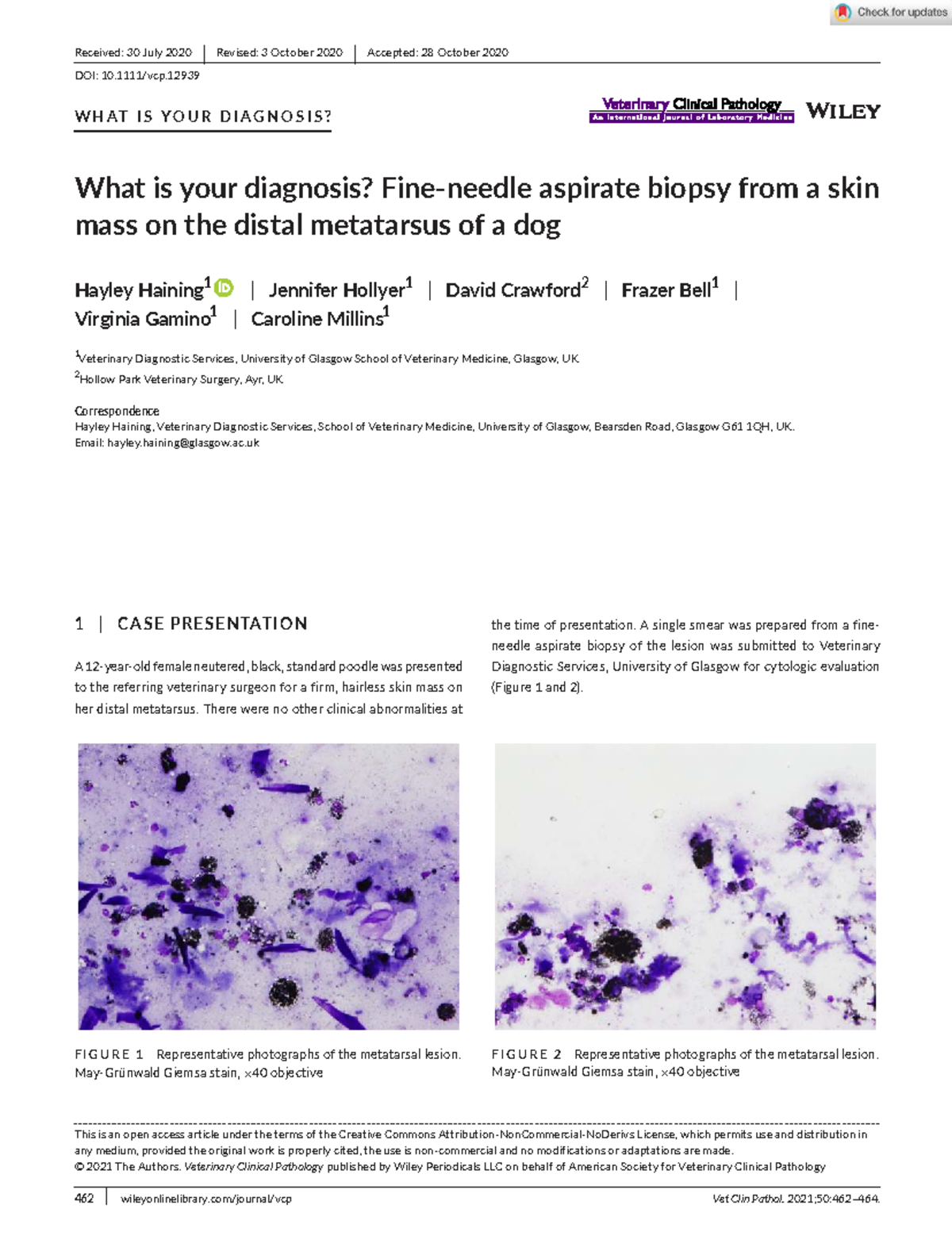 Veterinary Clinical Pathology Case Study: Diagnosis of Skin Mass in Dog ...