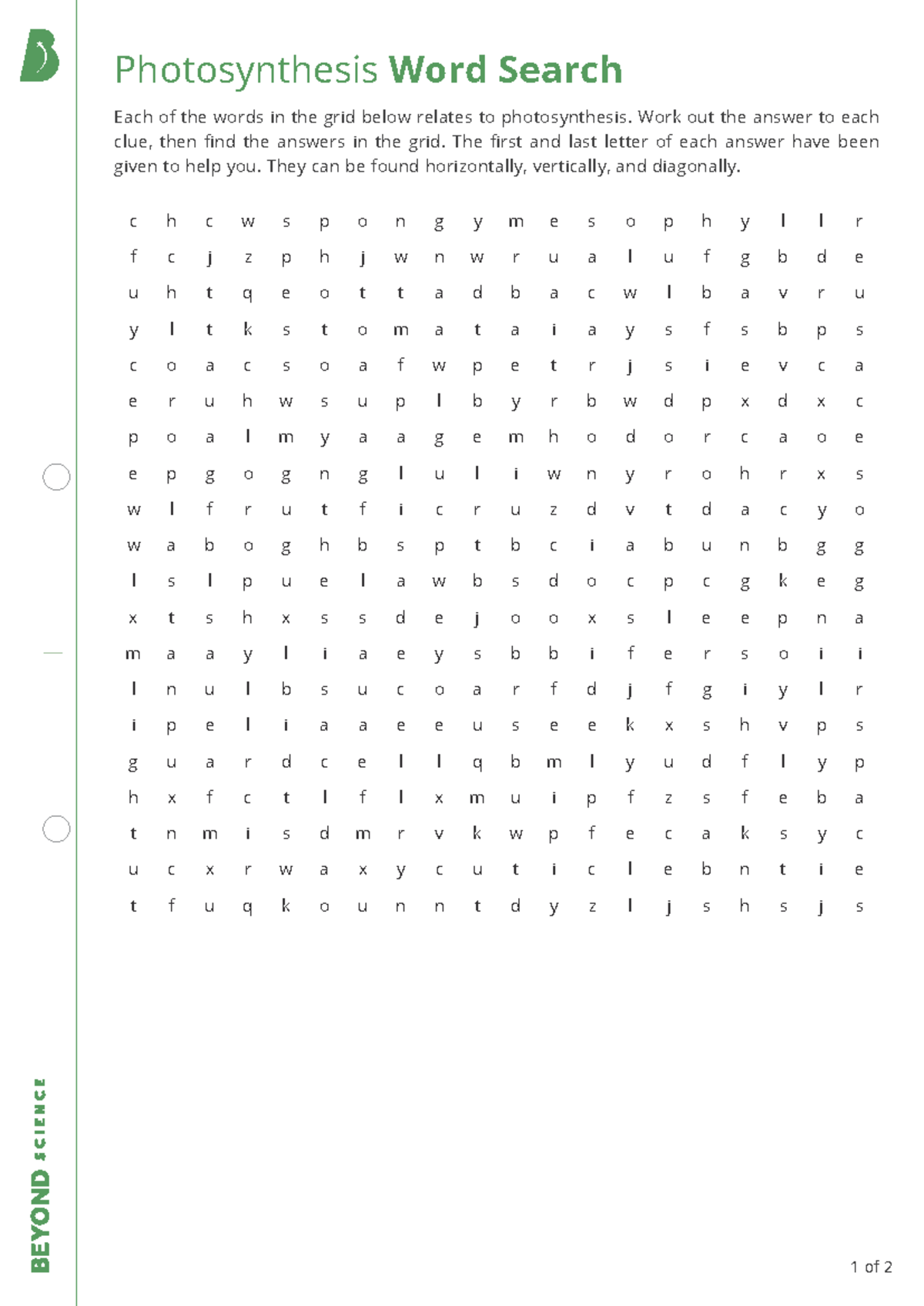 Photosynthesis Word Search Activity (8TH) - Studocu