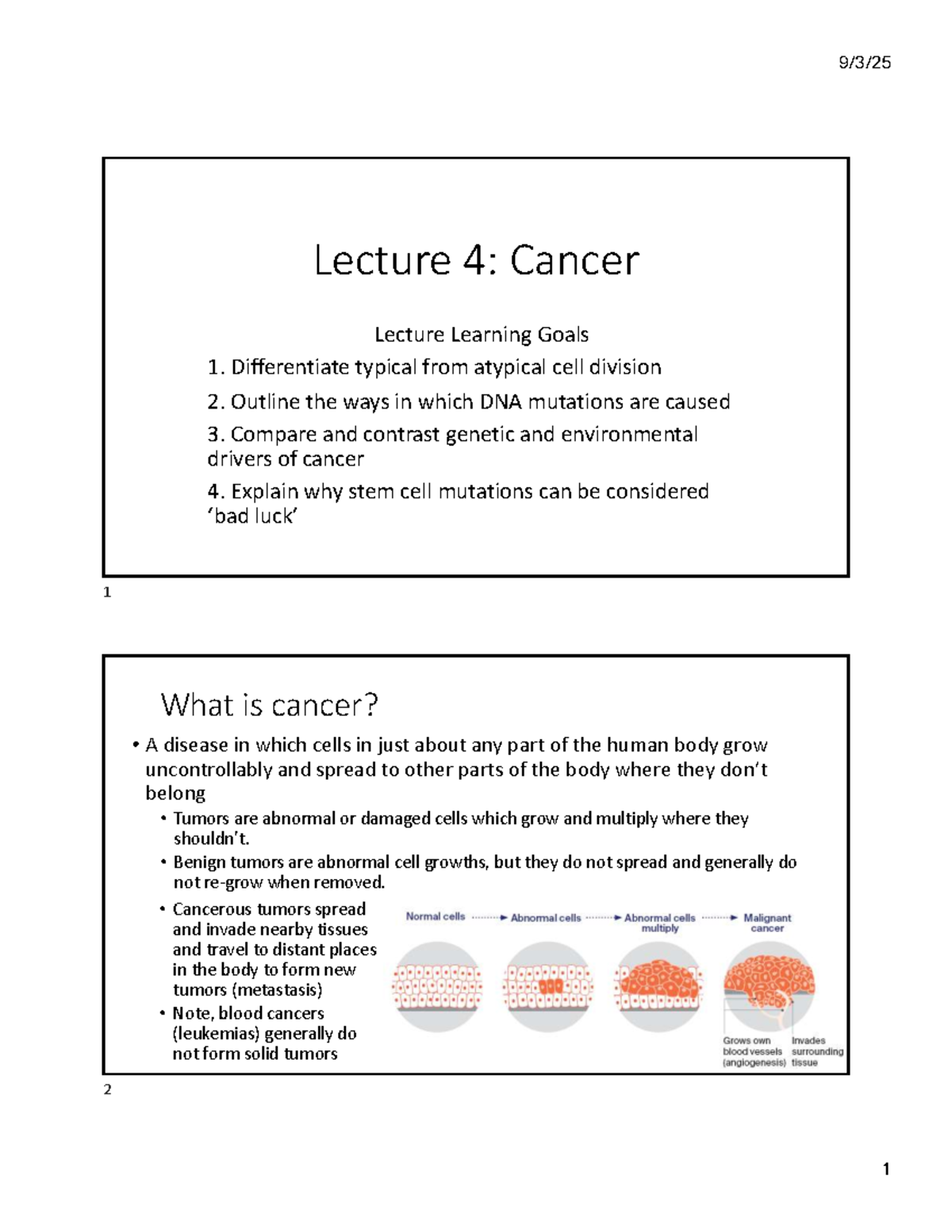Lecture 4: Cancer - Cell Division, Mutations & Treatment Insights - Studocu