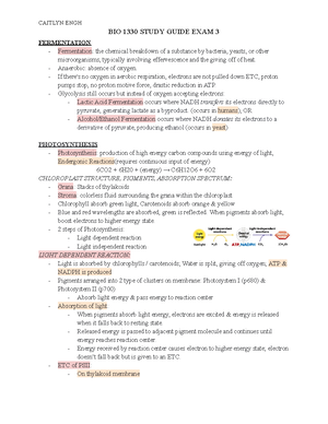 Handout for Meiosis Webquest - MEIOSIS WEBQUEST Name: Task 1 ...