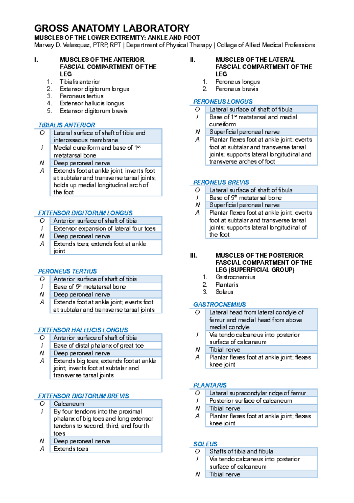 Gross Anatomy Laboratory - GROSS ANATOMY LABORATORY MUSCLES OF THE ...