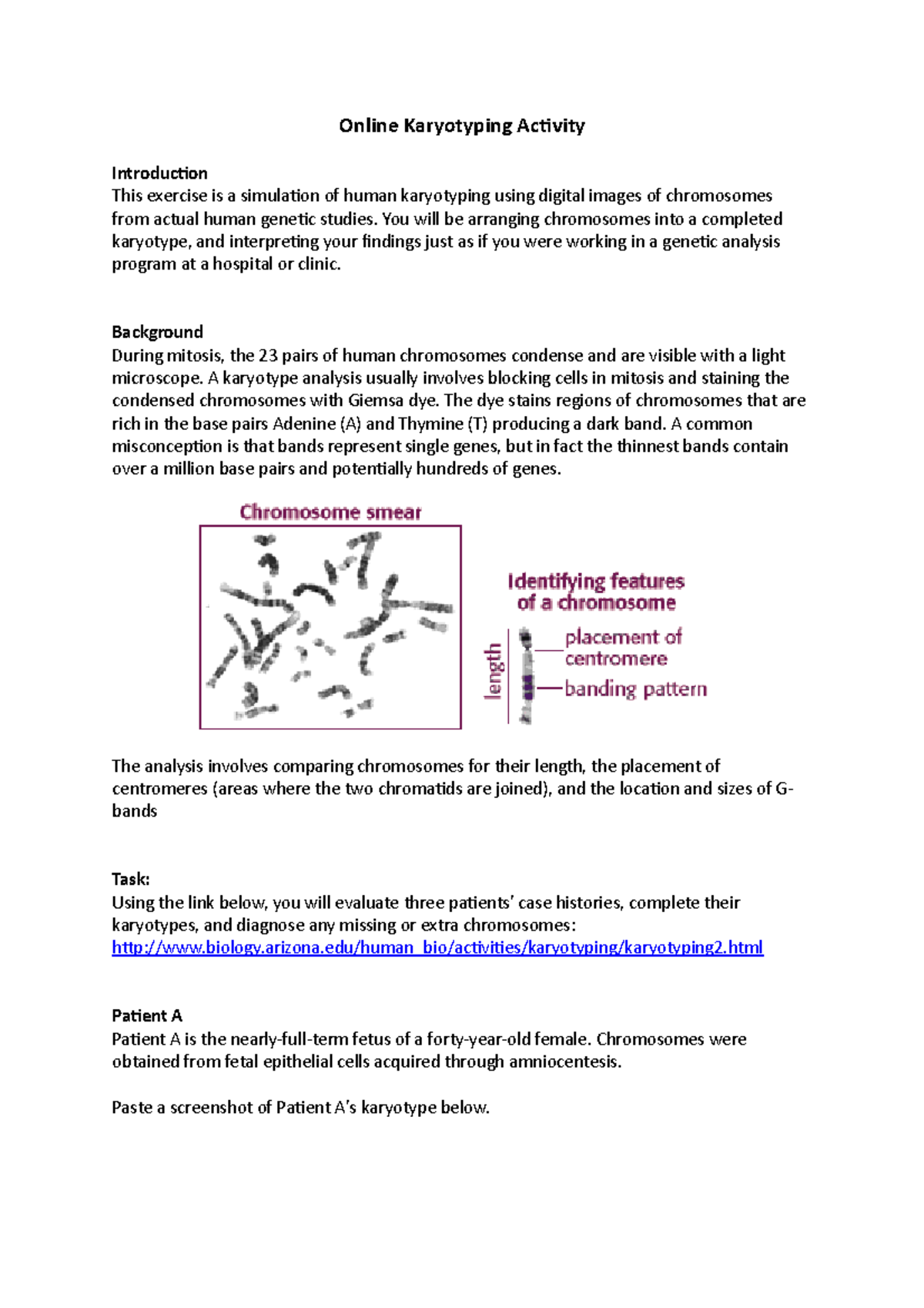 Online Karyotyping Simulation: Analyzing Patient Cases and Findings ...