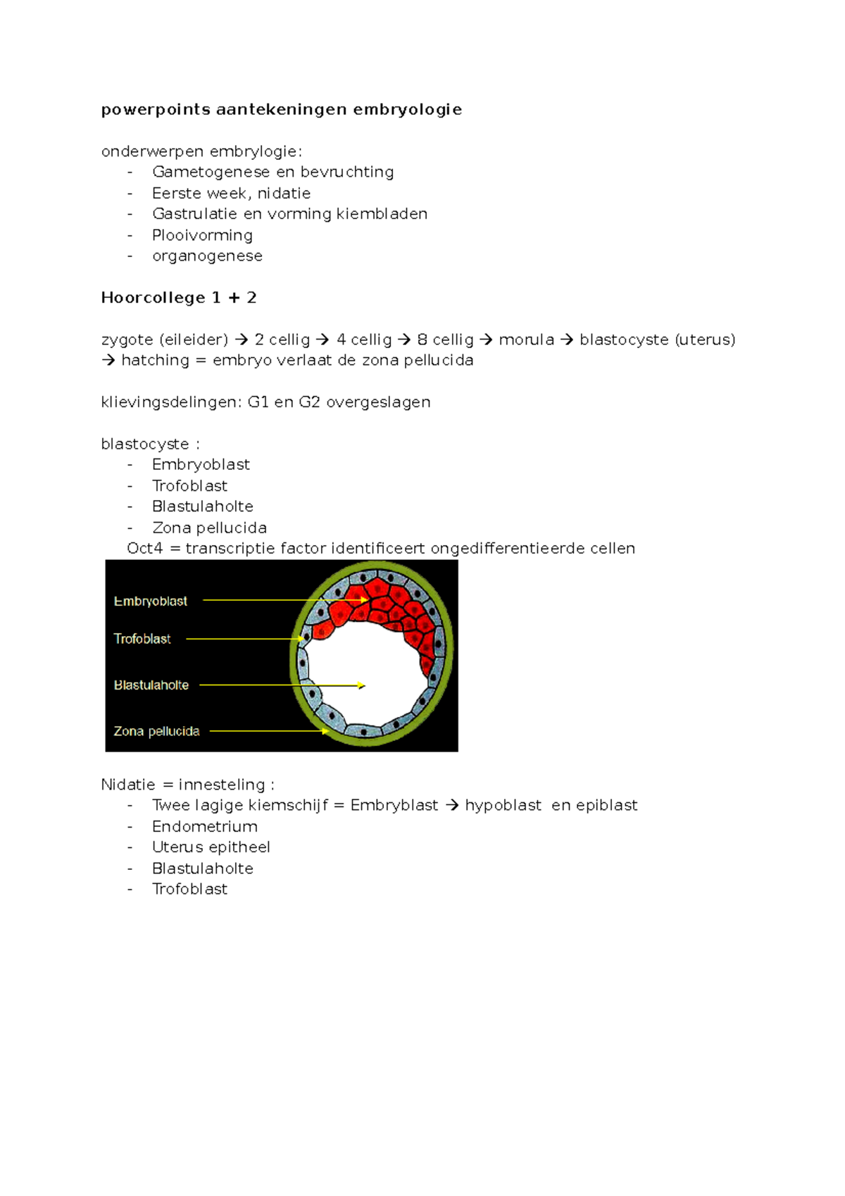Hoorcollege aantekeningen Embryologie (EMB-101) - Gametogenese en ...